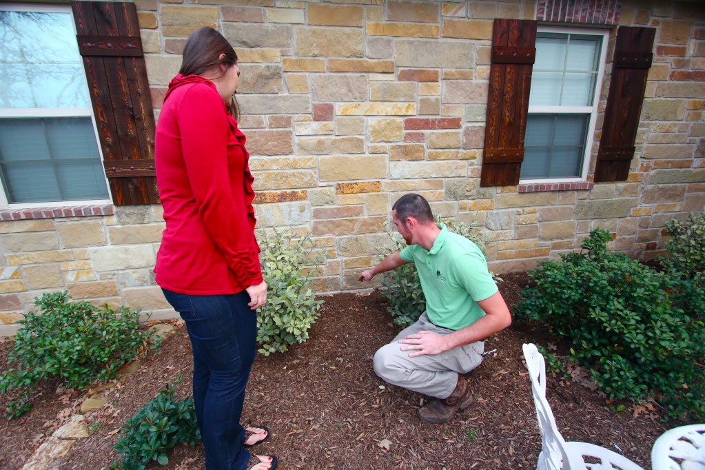 Termite and Carpenter Ant Control Program | How to Get Rid of Termite ...