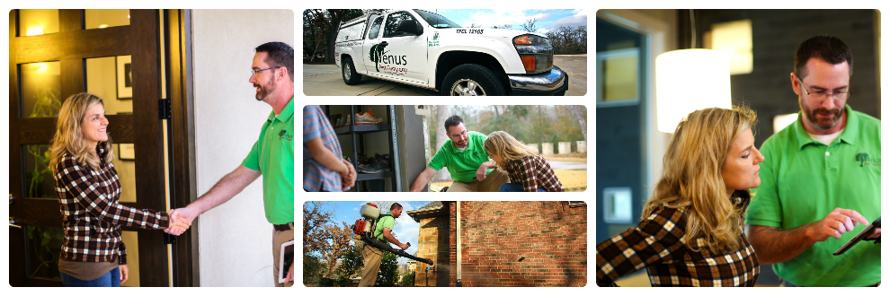 collage header - Venus Pest Company